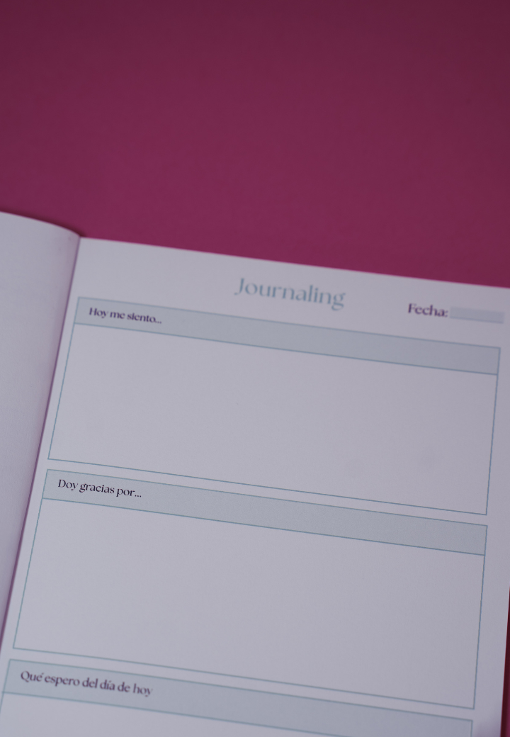 PLANNERS – ICÓNICAS