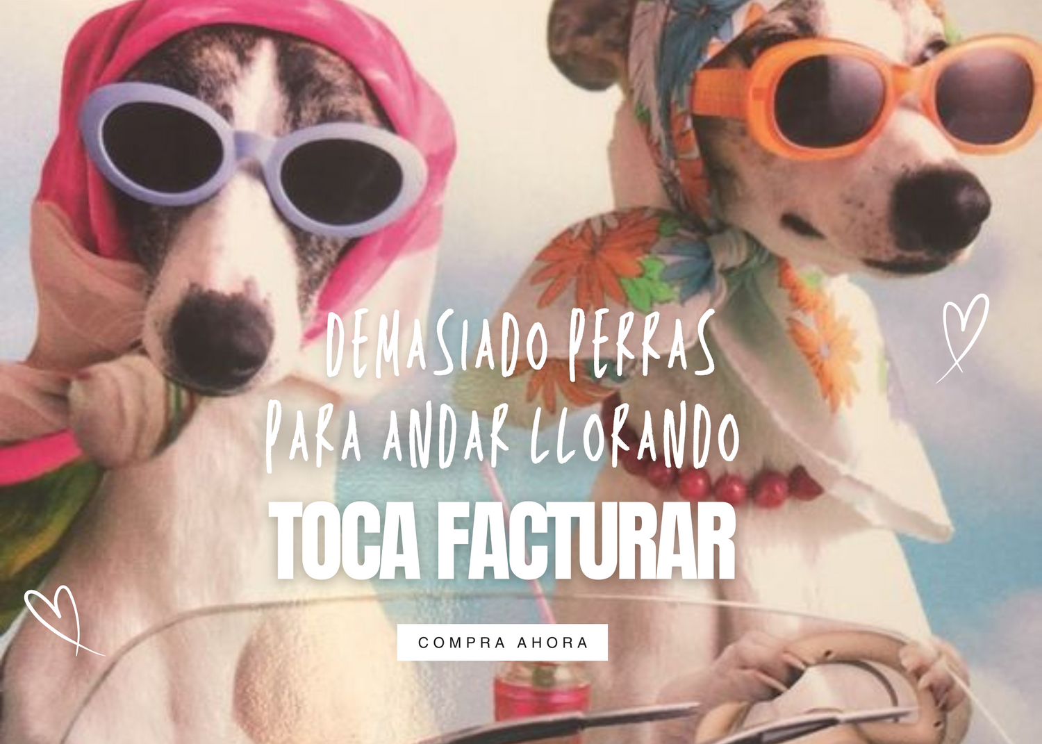 ICÓNICAS | Empoderamiento y brillo para chicas activas